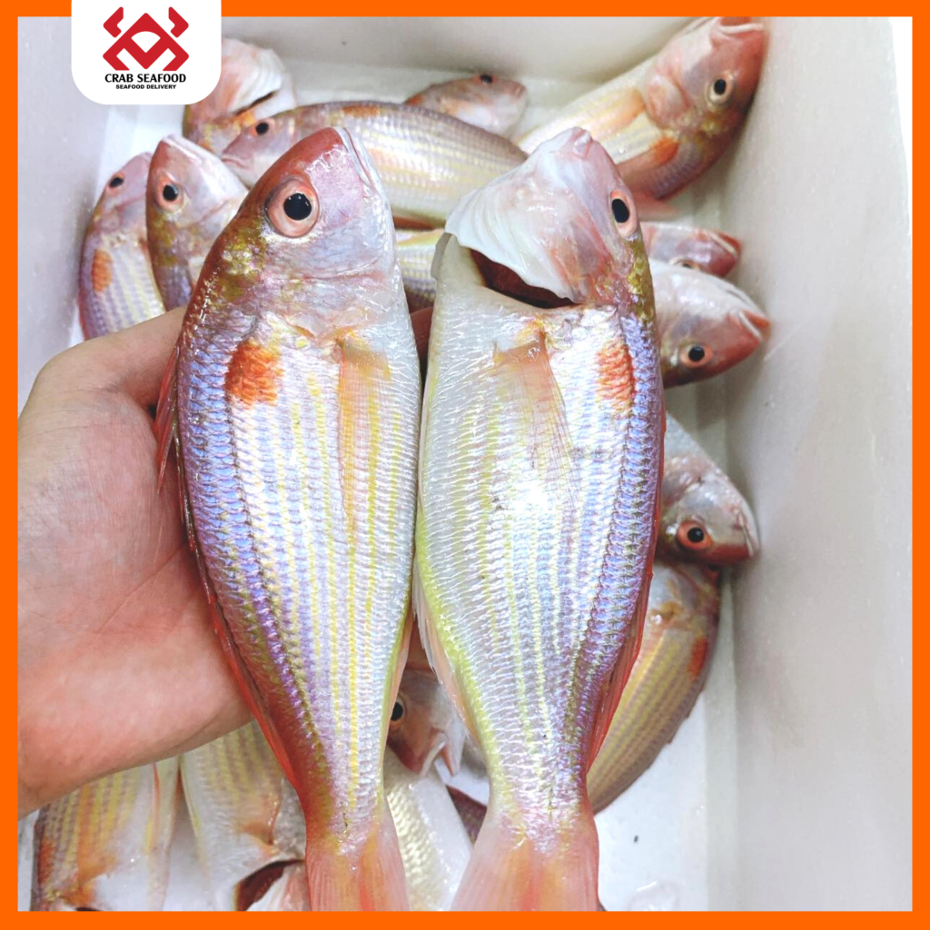 Mua Cá Đổng Tươi Ngon - Giao Hàng Trong 1h - Crab Seafood