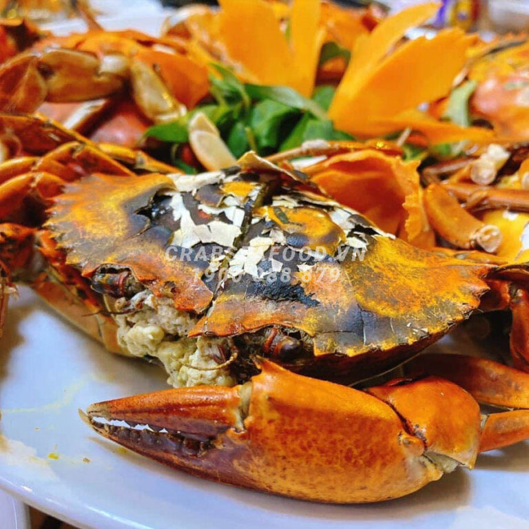Cua Gạch Là Cua Gì? Ăn Cua Gạch Có Tốt Không? - Crab Seafood