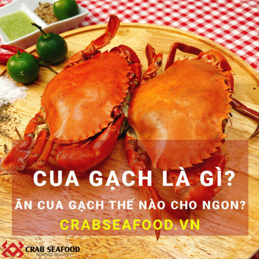 Cua Gạch Là Cua Gì? Ăn Cua Gạch Có Tốt Không? - Crab Seafood
