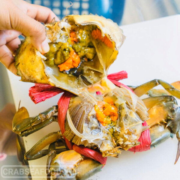 Cua Gạch Là Cua Gì? Ăn Cua Gạch Có Tốt Không? - Crab Seafood