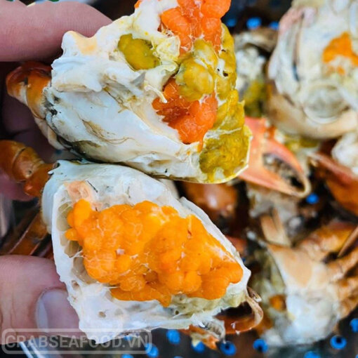 Cua Gạch Là Cua Gì? Ăn Cua Gạch Có Tốt Không? - Crab Seafood