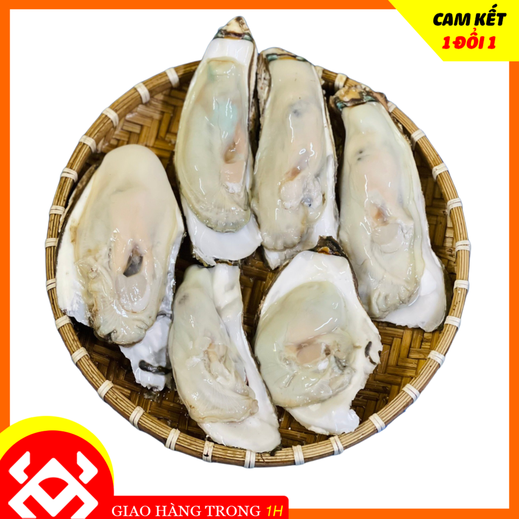 Các Loại Ngao Biển - Phân Biệt Và Cách Chế Biến Ngao Biển Thơm Ngon