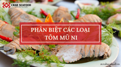 Các loại tôm mũ ni - Crab Seafood