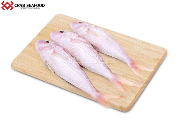 Cá Đổng Bao Nhiêu Tiền? Mua Cá Đổng Ở Đâu Ngon? | Crab Seafood