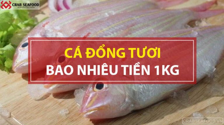 Cá Đổng Bao Nhiêu Tiền? Mua Cá Đổng Ở Đâu Ngon? | Crab Seafood