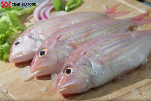 Cá Đổng Bao Nhiêu Tiền? Mua Cá Đổng Ở Đâu Ngon? | Crab Seafood