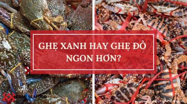 GHẸ XANH HAY GHẸ ĐỎ NGON HƠN? - Crab Seafood