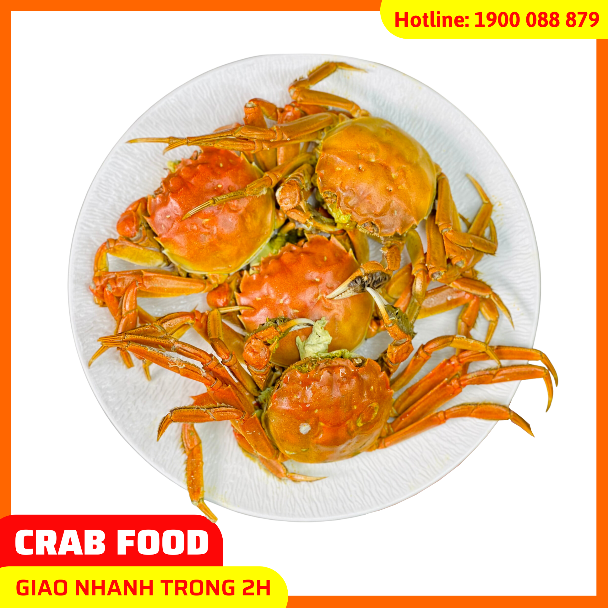 Cua Lông Chế Biến Ngon Giàu Dinh Dưỡng - Crab Seafood